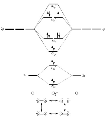 TEORÍA DE BANDAS Y TOM