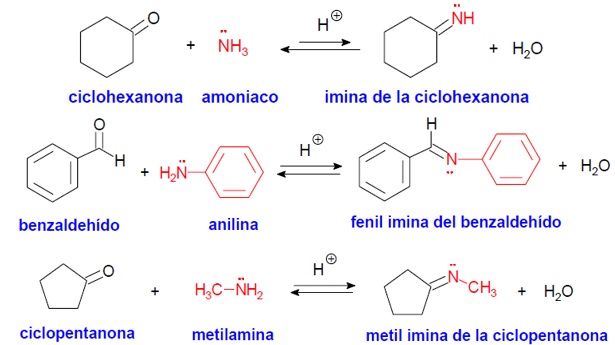 Mecanismo de la formación de iminas