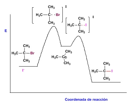 Los dos estados de transición ocupan máximos locales de energía. En el ...